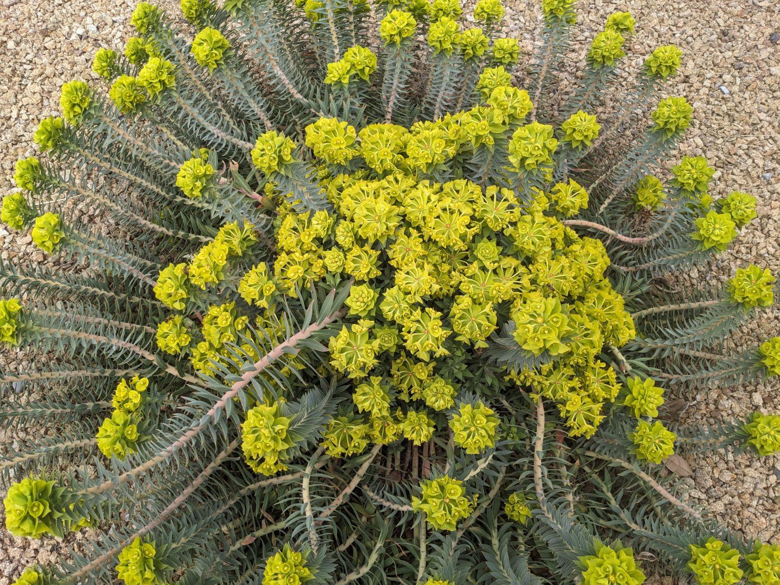 Interesting Facts About Pahrump | Snowden Designs 775-537-8070