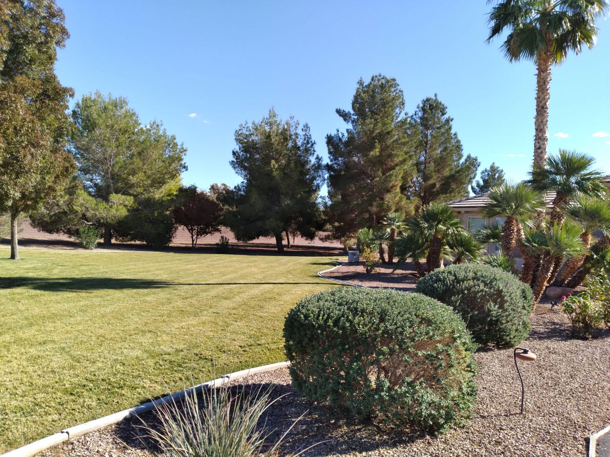 Lawn Maintenance & Landscape Maintenance Services Pahrump