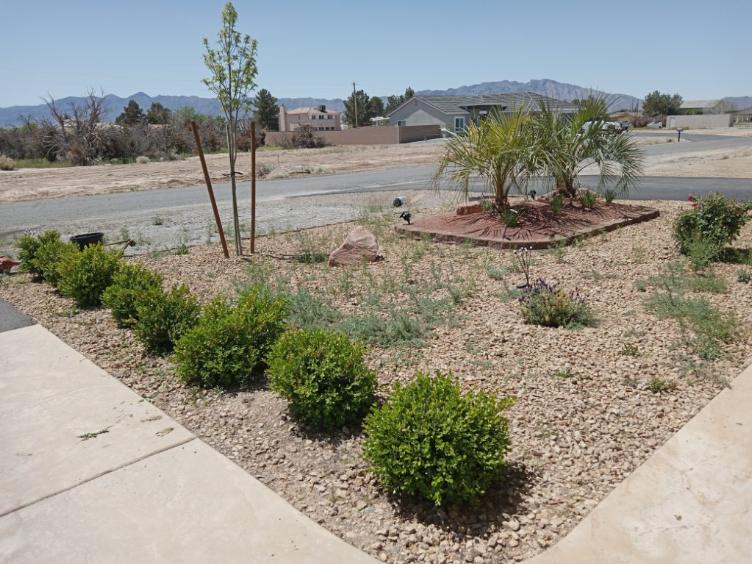 Pahrump Weed Control Guide | Snowden Designs | 775-537-8070