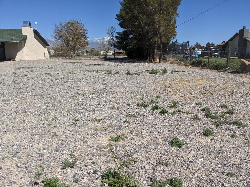 Weed Control in Pahrump | Snowden Designs | 775-537-8070